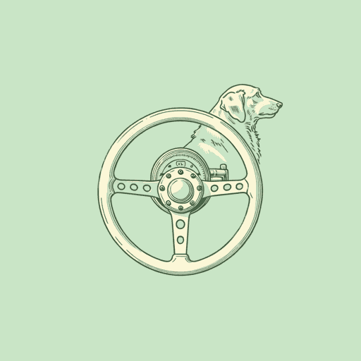 The Art of Racing in the Rain Summary and Study Guide | SuperSummary