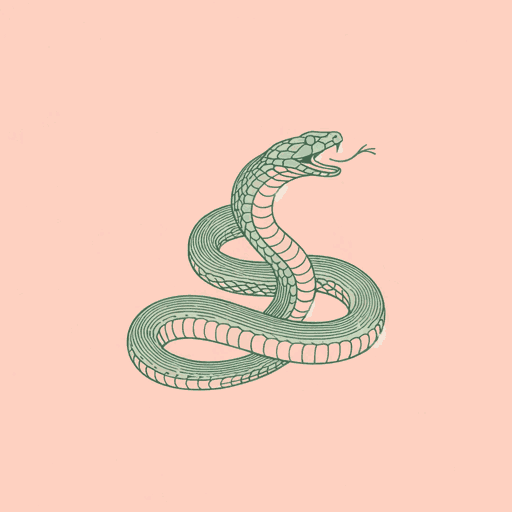 The Poisonwood Bible Character Analysis | SuperSummary