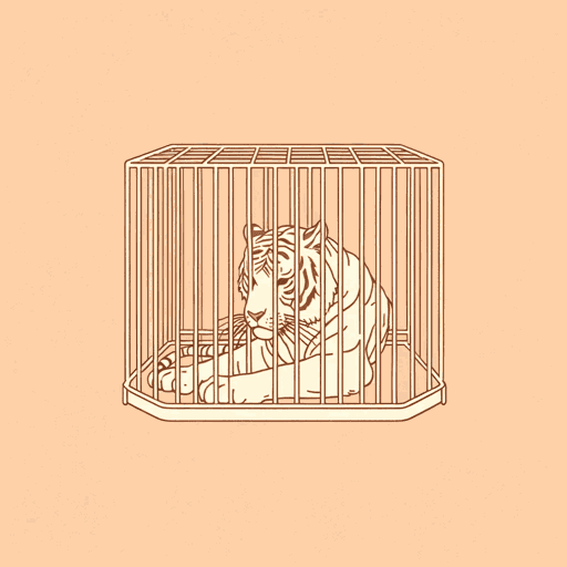 The Tiger Rising Character Analysis | SuperSummary